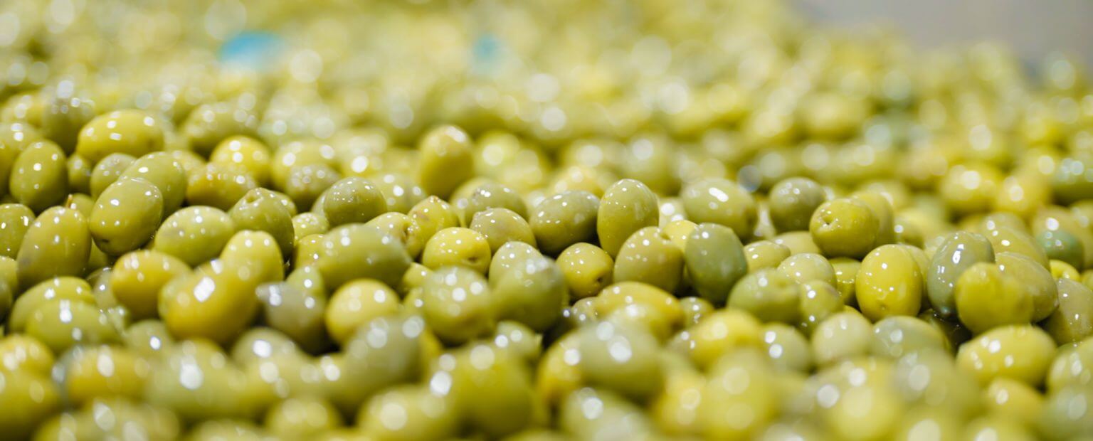 Taggiasca Olives - Madama Oliva